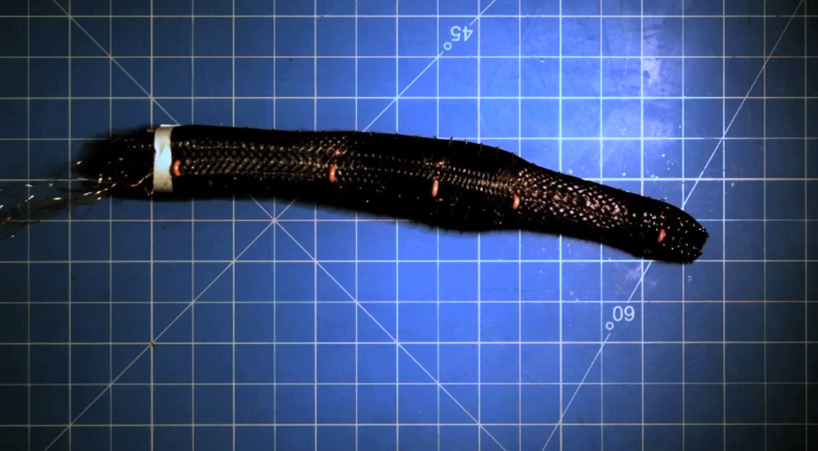 meshworm autonomous robot by MIT, harvard university and SNU